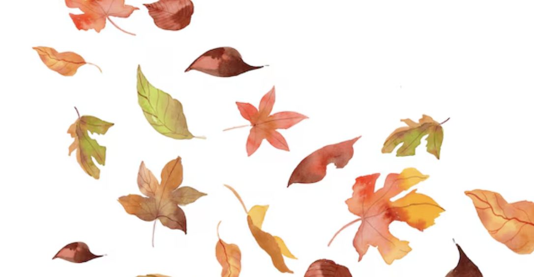 Homepage | LCA Bulldogs